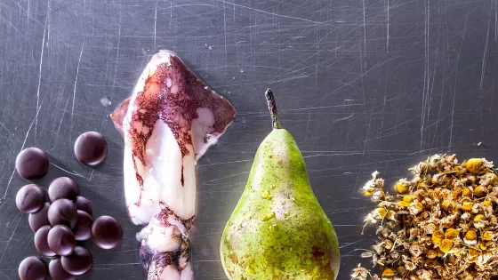 Flavour pairing | cacao-barry.com