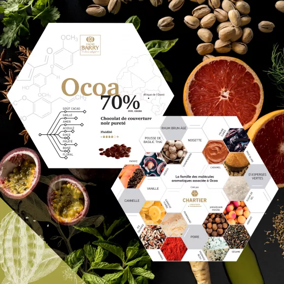 Flavour Pairing card - Excellence | cacao-barry.com